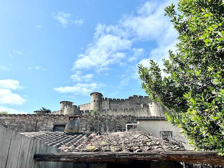 Le 76 Terrasse Vue Cité 500m, Parking Gratuit 200m - Carcassonne