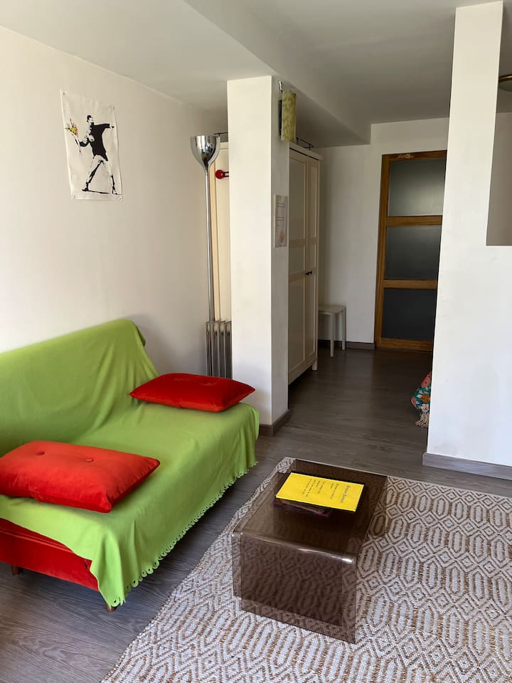 Charmant Studio Donnant Sur Jardin, 200m Du Métro - Balma