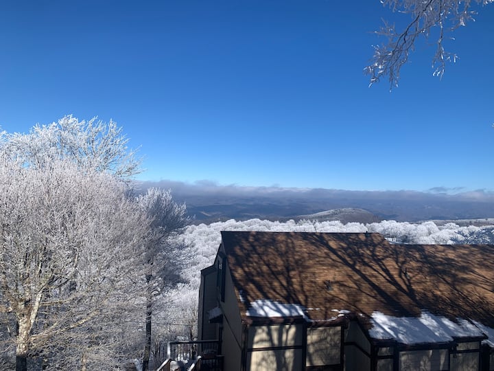 Slopeside Escape! - Fireplace, King & Queen Beds - ビーチ・マウンテン, NC
