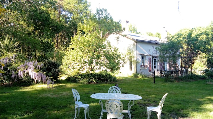 Maison Autonome Au Cœur De La Forêt - Bourgueil