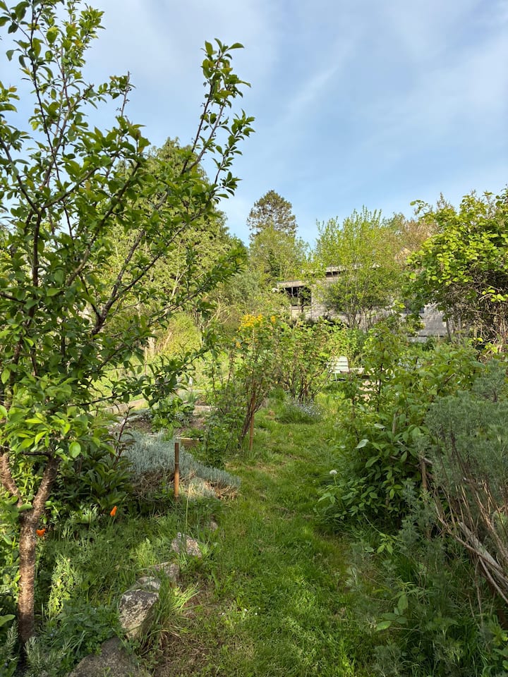Tinyhouse Dans Le Jardin - Pont-Aven