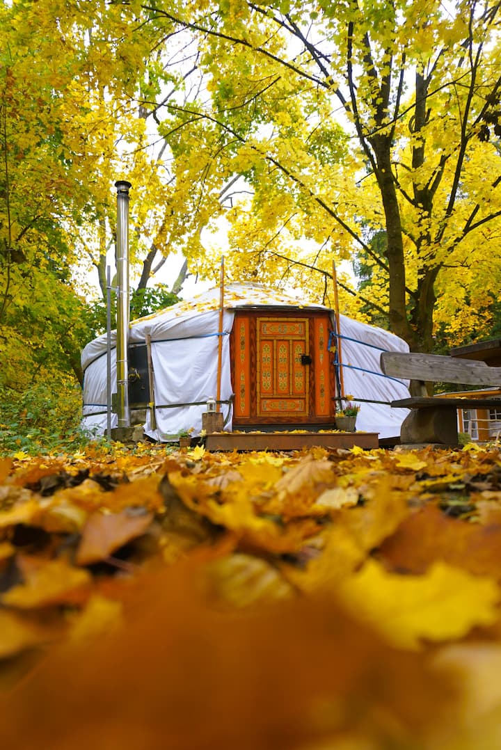 Kamin I Sauna I Flusszugang I Wanderregion I Wald - Sachsen-Anhalt