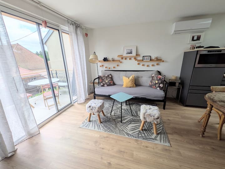 Appartement Au Coeur Du Village Avec Terrasse - Haut-Rhin