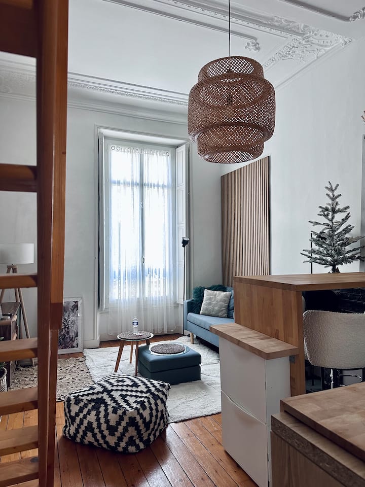 ⚜️Studio Haussmannien Avec Vue Place Du Ralliement - Angers