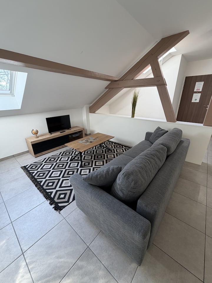 Spacieux Appartement N5 De 60m2 T2 à 50 M Du Léman - Thonon-les-Bains