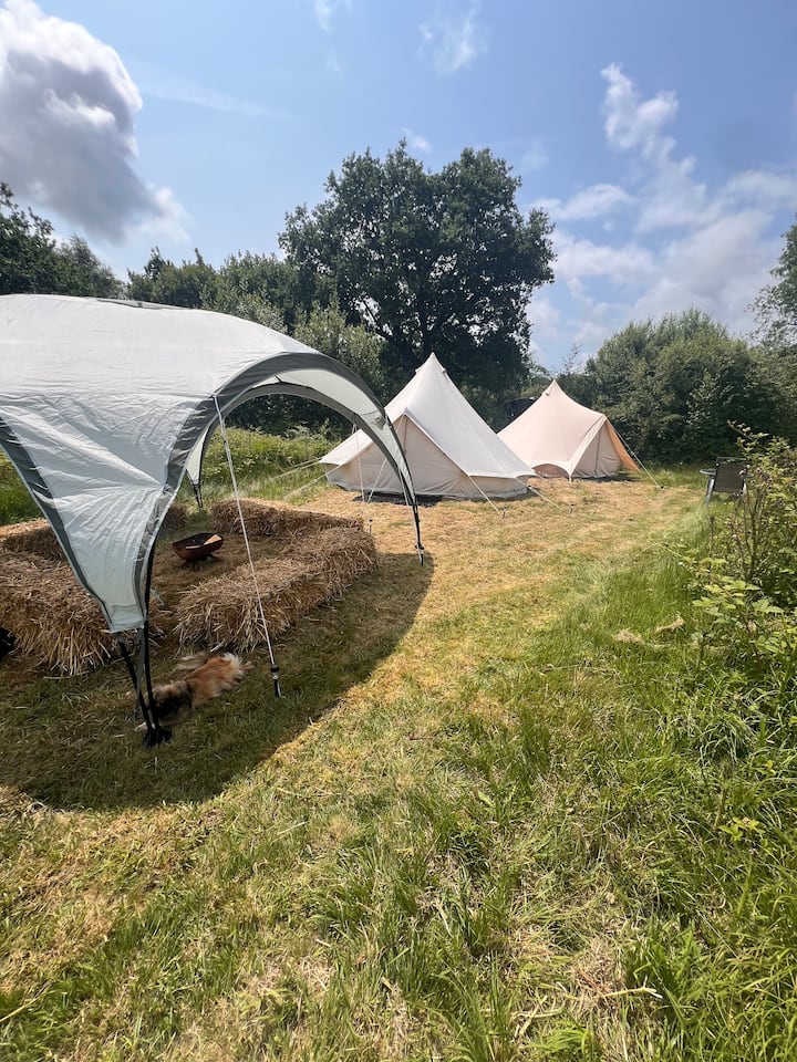 X2 Luxury Bell Tents Sleeps 8/10 - Carmarthen