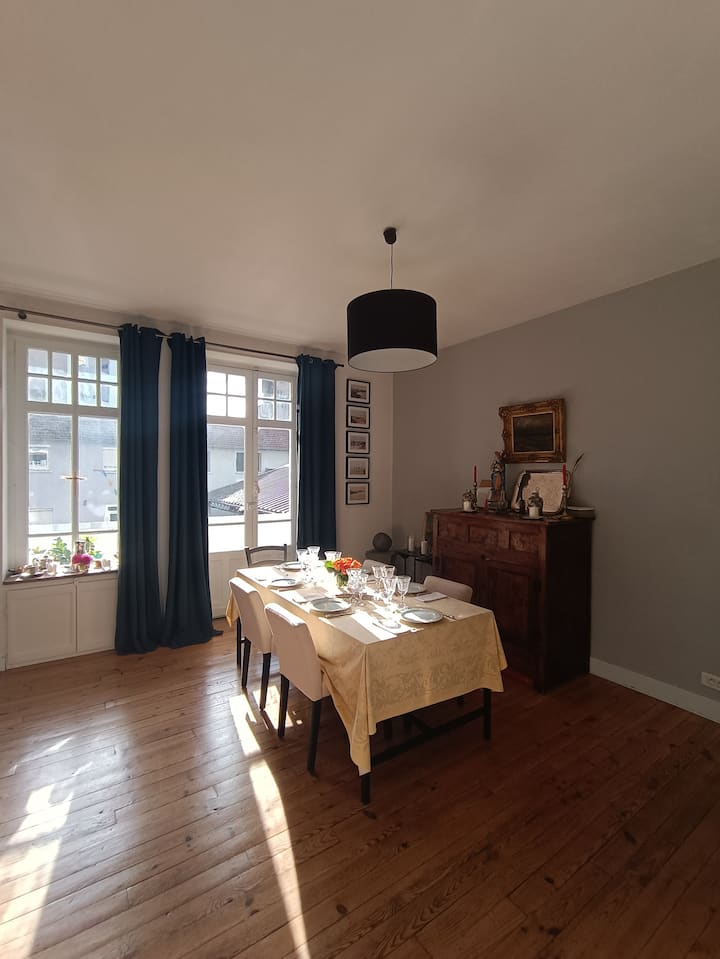 Pau : Bel Appartement Lumineux Avec Balcon - Musée des Beaux-Arts de Pau