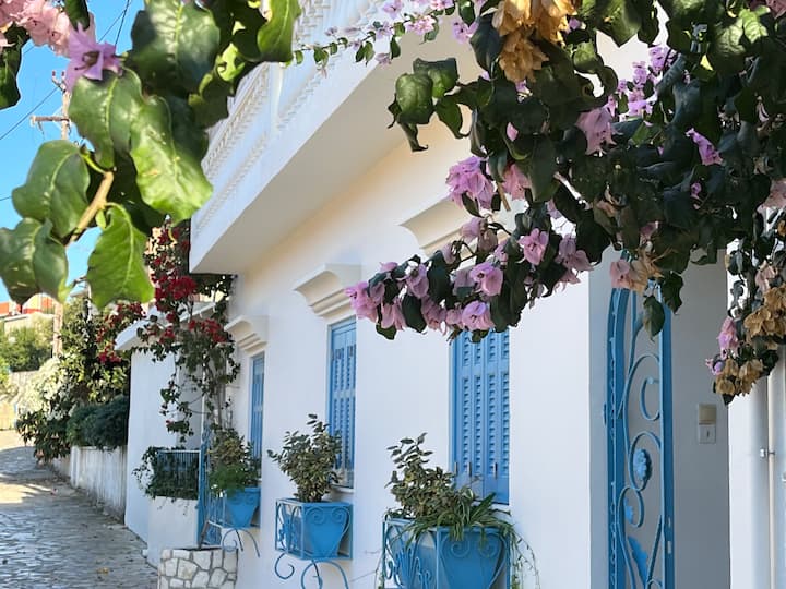 Blue Flower | Regina’s Studios In Central Fiscardo - Kefalonia