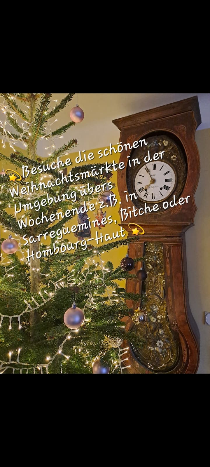 Gartenhaus Mit Holzofen - Moselle