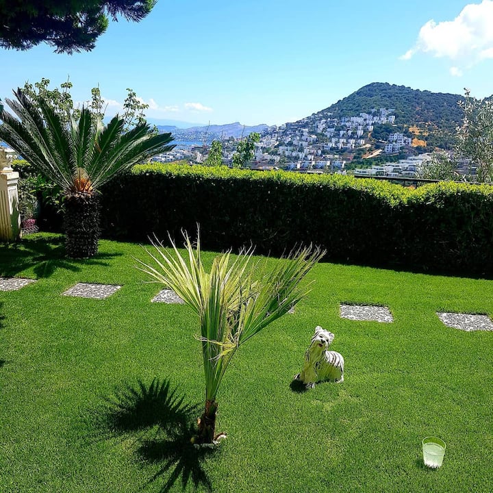 Essiz Palmarina Manzarali,huzurli Bahceli Villa - Yalıkavak