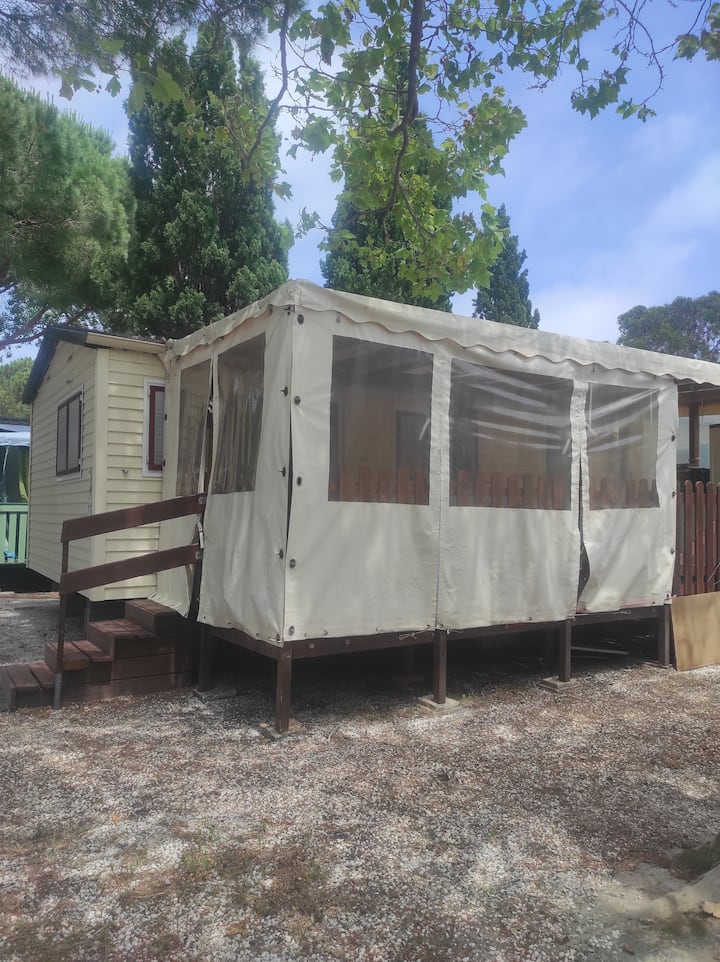 4 Derniers Jours De Vacances à Prix Mini! -40% - Le Barcarès