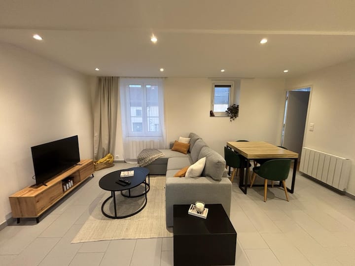 Logement Cdg/astérix/chantilly/ Mer De Sable - Survilliers