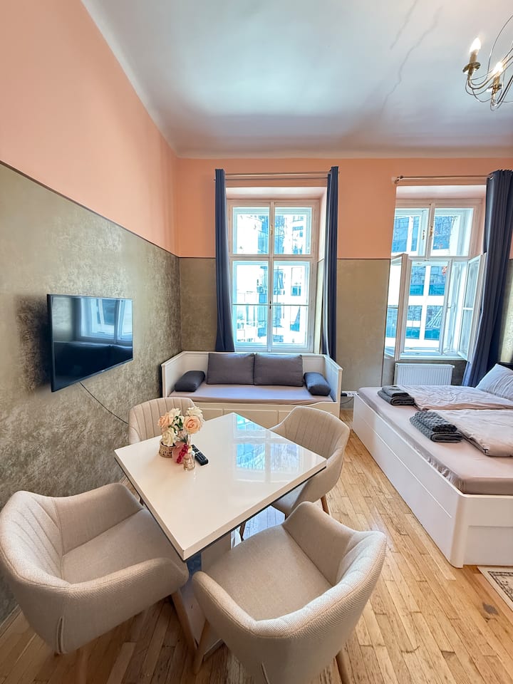 Cozy Studio Apartment In Historical Center Prague - Prague
