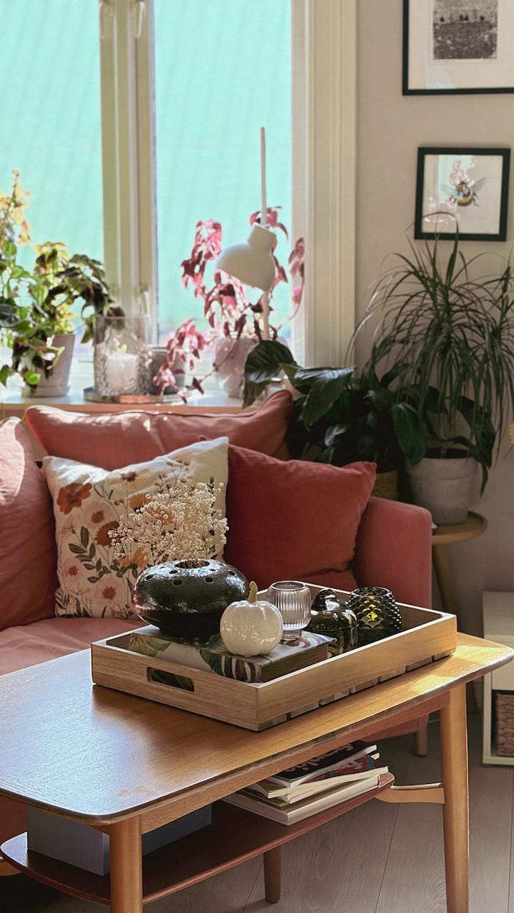 Beautiful Central Apartment With Cute Balcony - Oslo