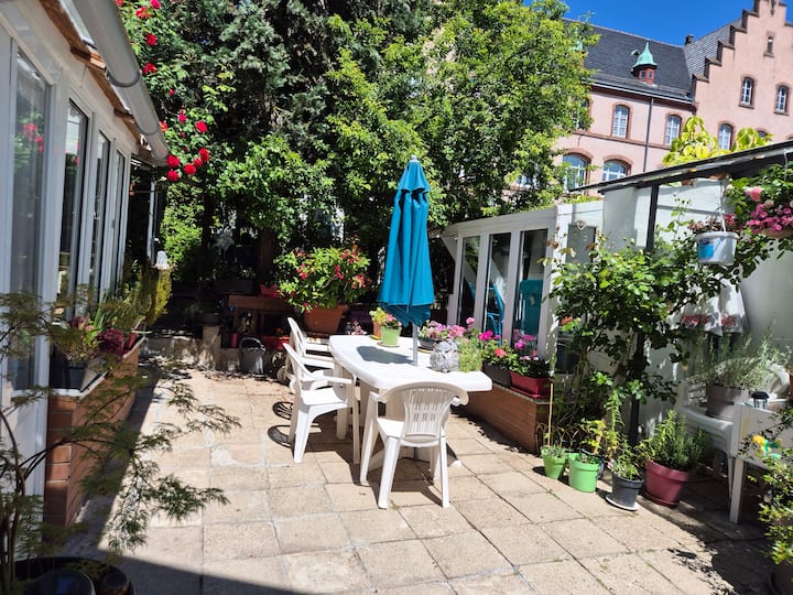 Gîte Entre Strasbourg Et Colmar . - Molsheim