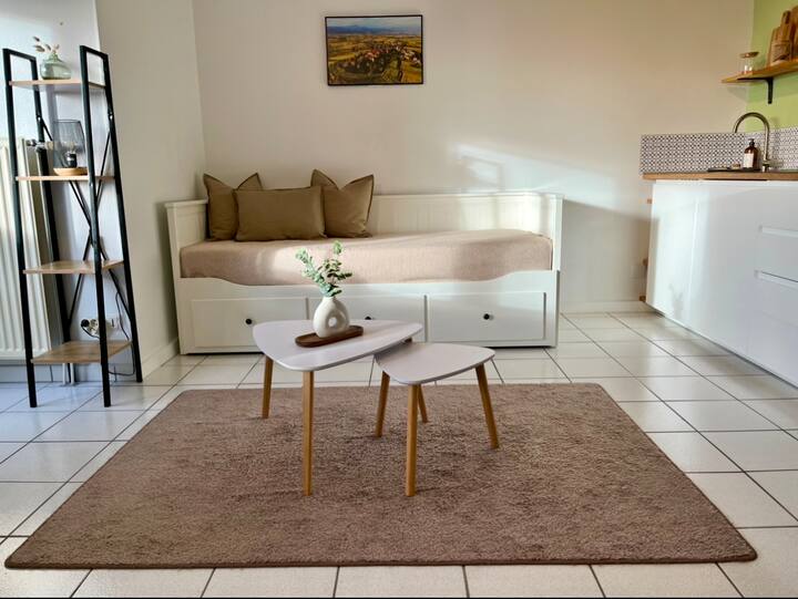Studio Entre Vignes Et Châteaux à Ribeauvillé - Mittelwihr