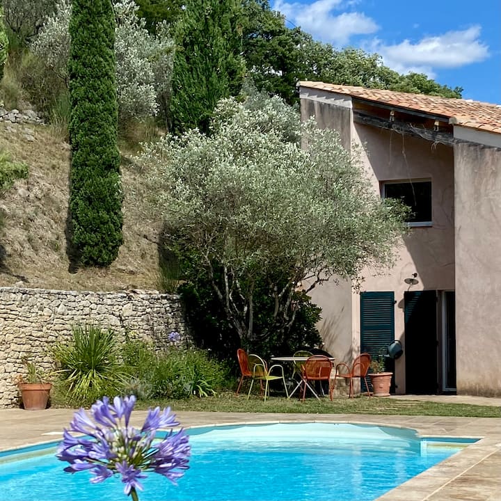 Panorama D'exception, Piscine, Terrain De Pétanque - Buis-les-Baronnies