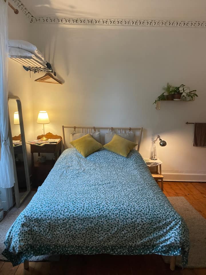 Beautiful Double Room In Victorian Edinburgh Flat - Edimburgo