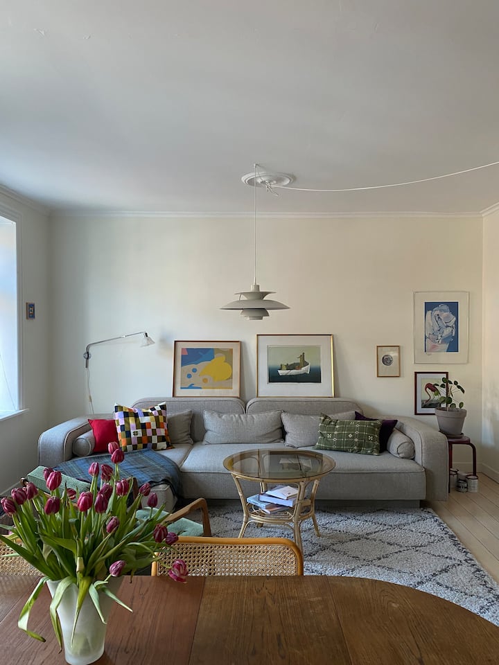 Hjemlig Lejlighed På Nørrebro - Copenhague