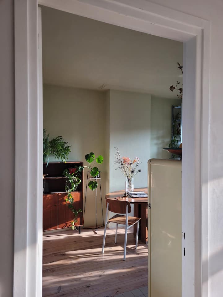 Bright & Spacious House Along A Beautiful Citypark - Schiedam