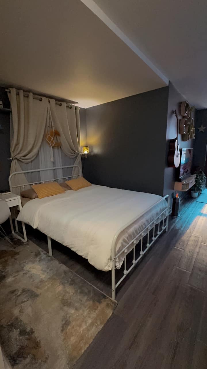 Private Guest Suite In The Heart Of Montreal - Montreal