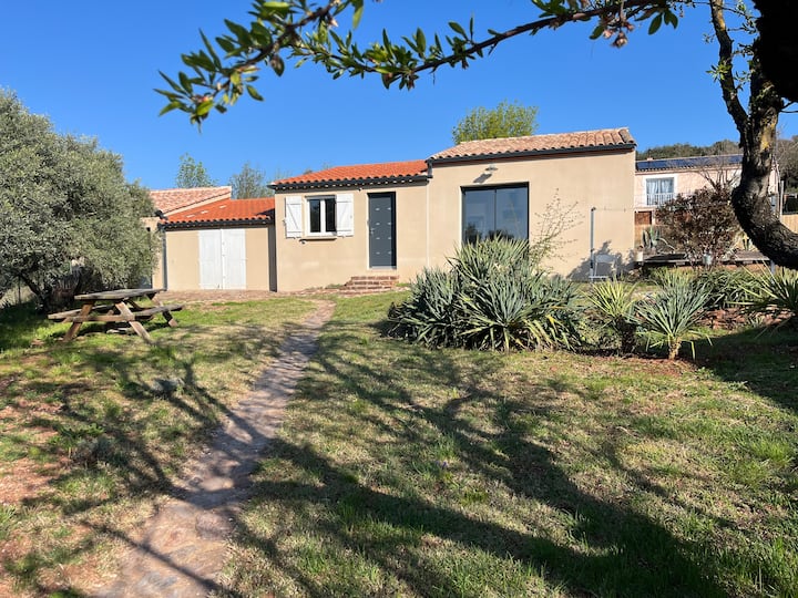 Le Grand Chêne - Lac du Salagou