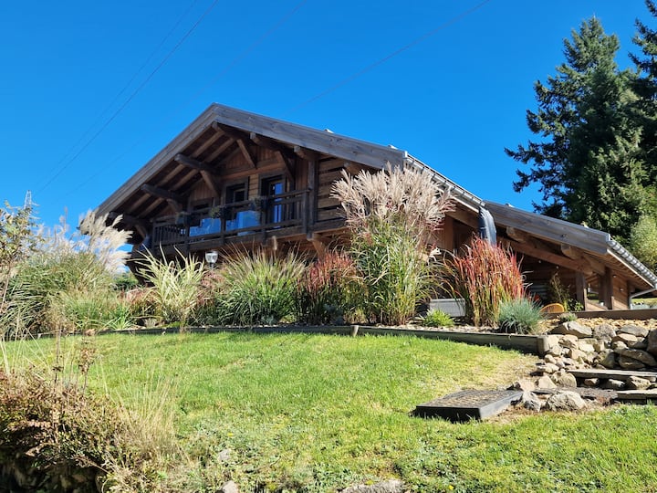 Chalets Du Costet - Standing Au Calme-spa-lac-ski - Gérardmer