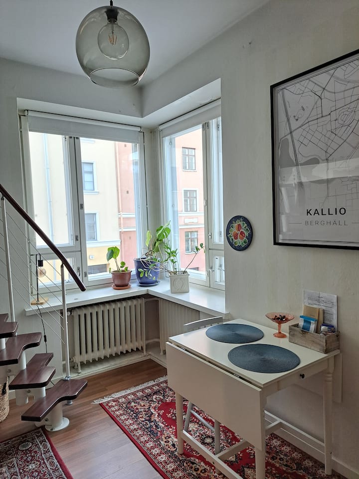Cozy And Bright Studio In The Best Location - Helsinki