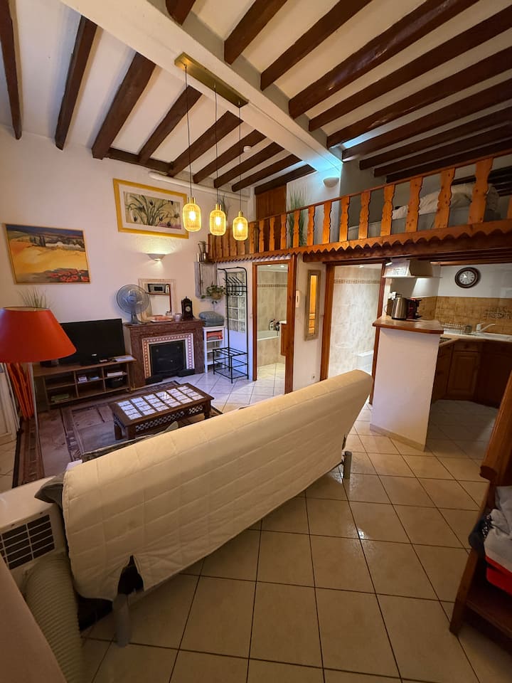 Studio 25m2 Rdc  Sur Cour Intérieure - Chassieu