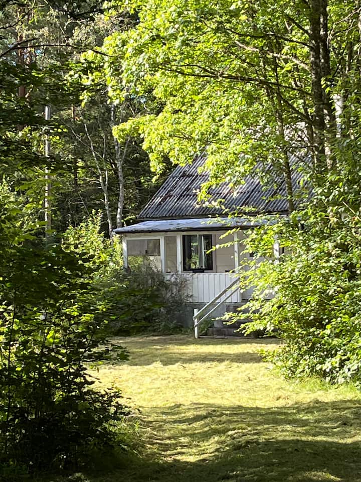 Dejligt Uforstyrret Hus På Stor Naturgrund V/skov - Markaryd