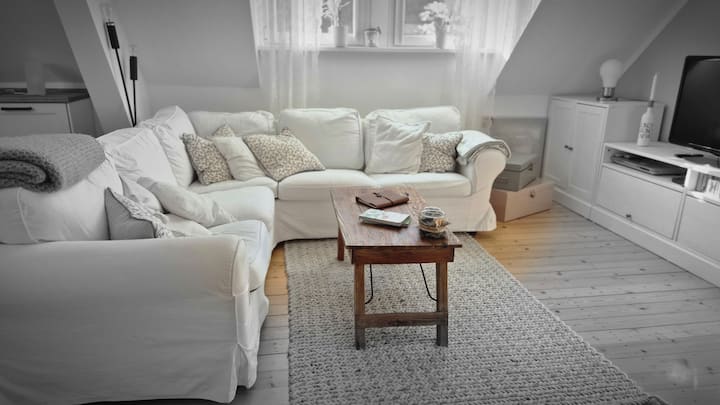 3-zimmer Altbauwohnung Im Herzen Von Hannover - Hannover