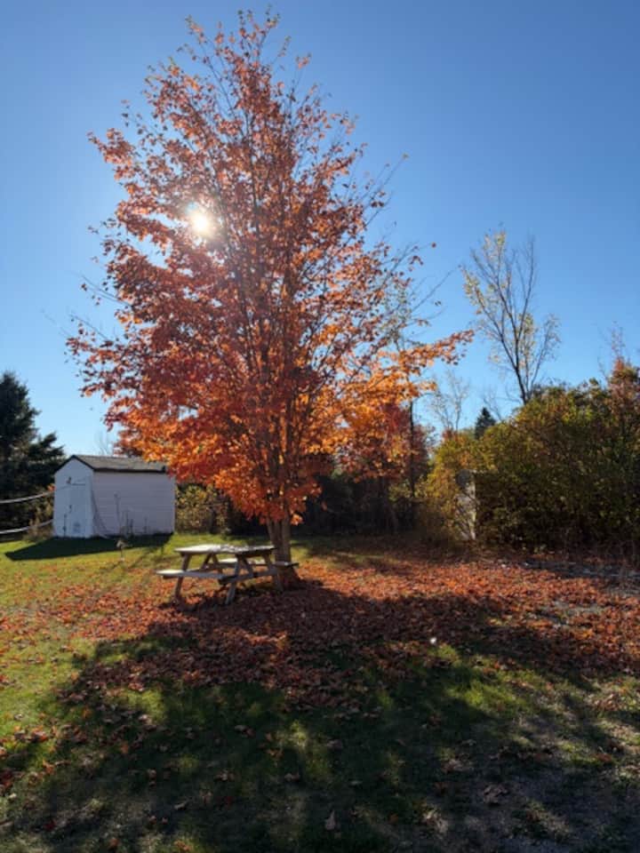 Lakeview Cottage Escape 4br, Hot Tub, Dock - Kawartha Lakes