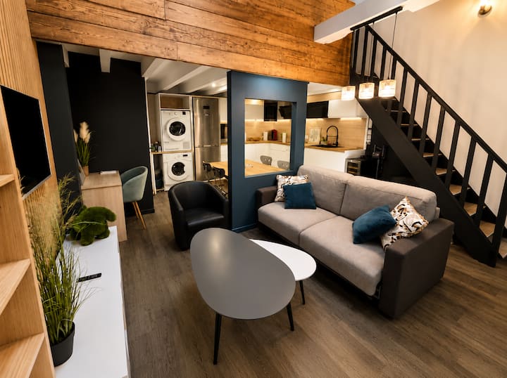La Tournette | Air-conditioned Duplex Annecy - Annecy