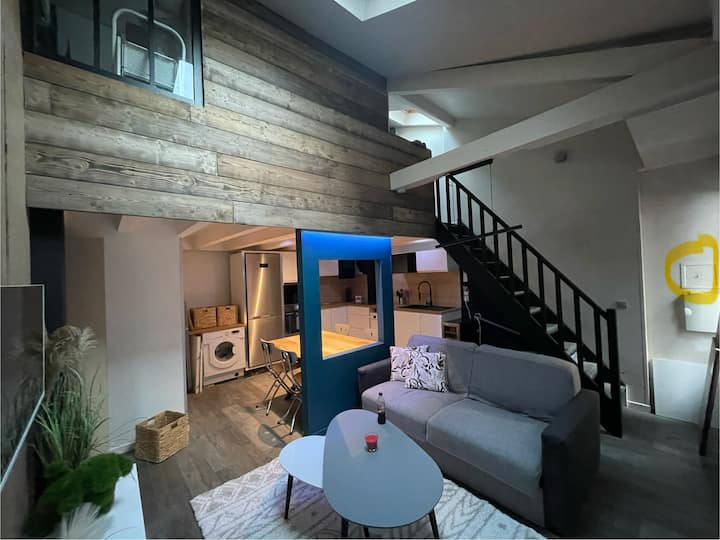Ville/vieille Ville Appartement Climatisé Au Calme - Talloires