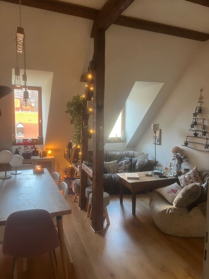 Chambre Cosy Sous Les Toits - Strasbourg