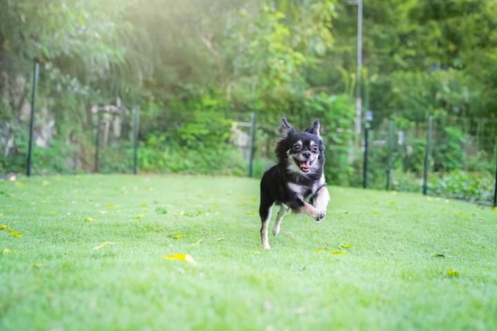 贅沢ドッグラン/プライベートBbq/リノベ済のポツンと一軒家で過ごす贅沢な休日を - Izu