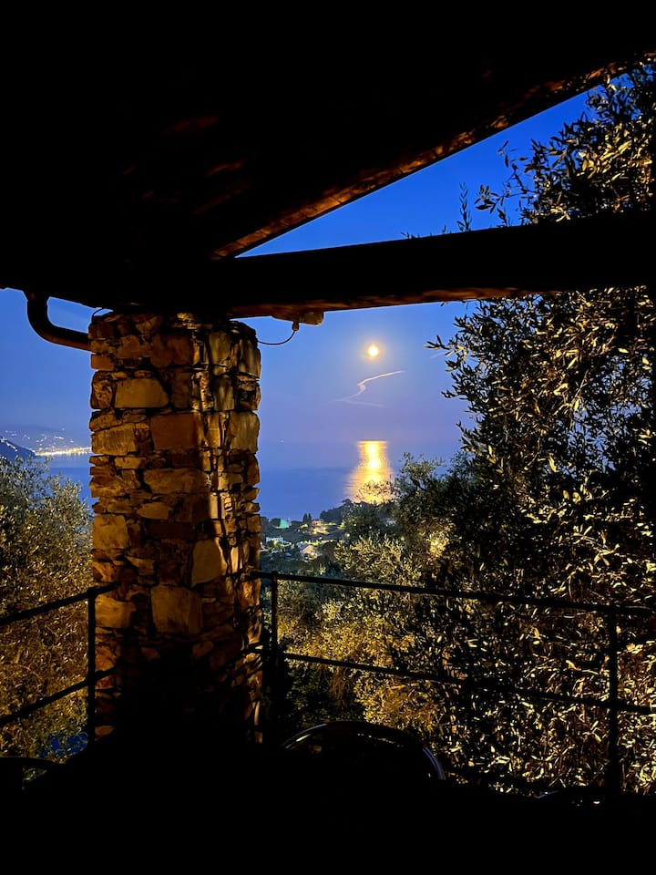 "Ulivi Nel Blu" Country House With Pool - Rapallo