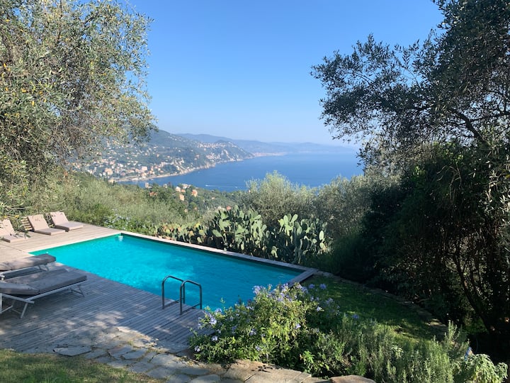 Country House With Pool "Ulivi Nel Blu" - Portofino