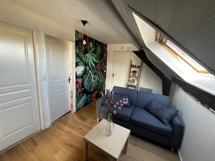 Logement Spacieux - 5 Personnes - Belfort - Belfort