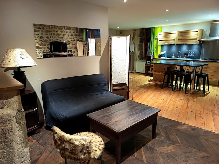 Bel Appartement Centre Historique, Près Cathédrale - Puy-de-Dôme