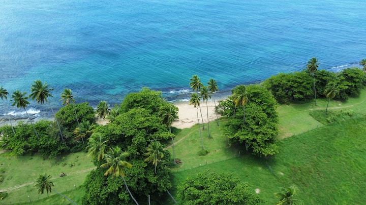 Ocean View Penthouse W/ Wifi, A/c And Generator. - Aguada