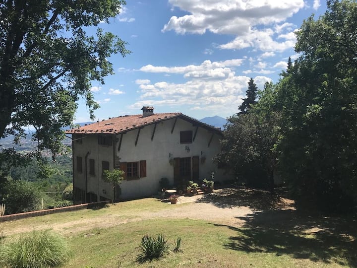 Lucca Tuscany Olive Farmhouse With Pool & Terrace - Lucca