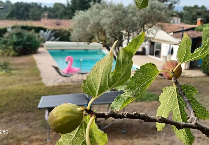 Studio Loft Au Calme  Piscine Semi-privatisée Var - Saint-Maximin-la-Sainte-Baume