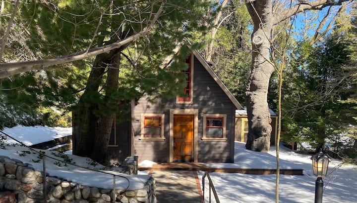 Secluded Cabin-1mile To Village, King Bed, Pets Ok - Lake Arrowhead, CA