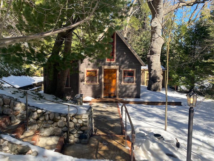 Secluded Cabin-1mile To Village, King Bed, Pets Ok - Lake Arrowhead, CA