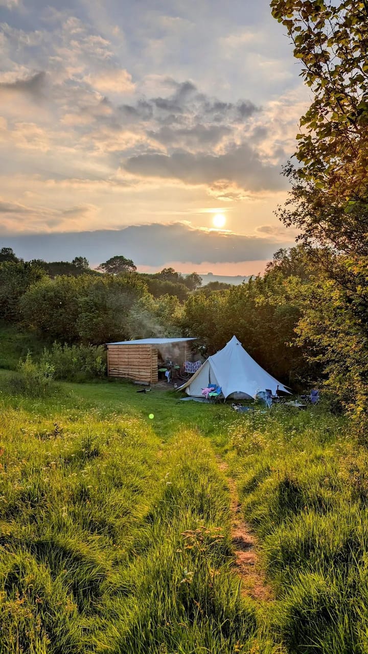 Daisy Bell Tent Glamping In Wild Flower Meadow - Llanidloes