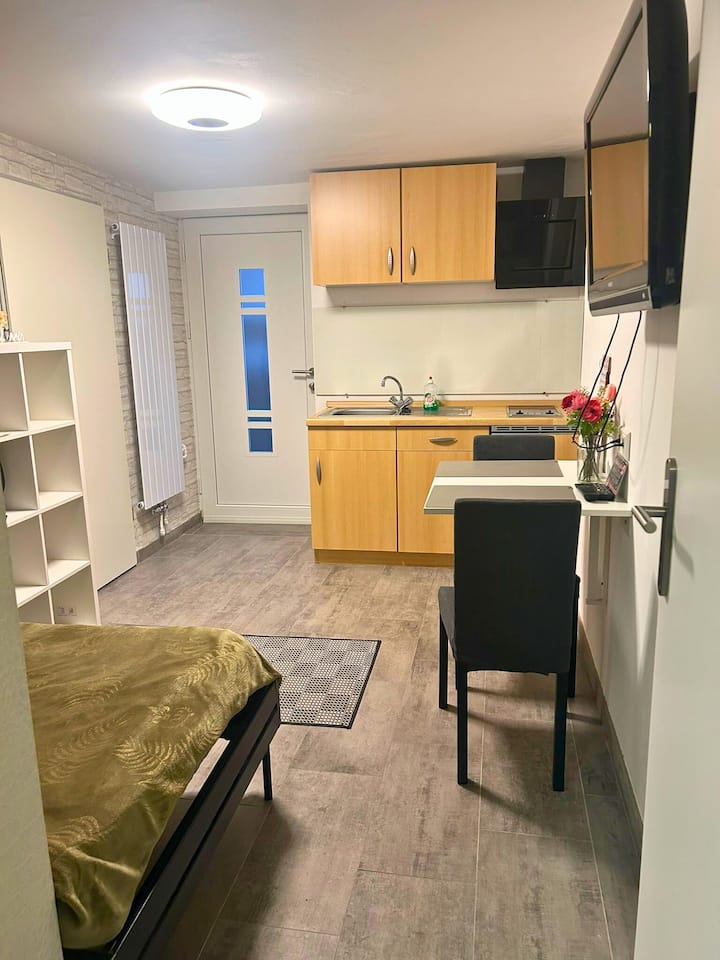 Orion: 2-room Apartment With Kitchen & Bathroom - Homburg