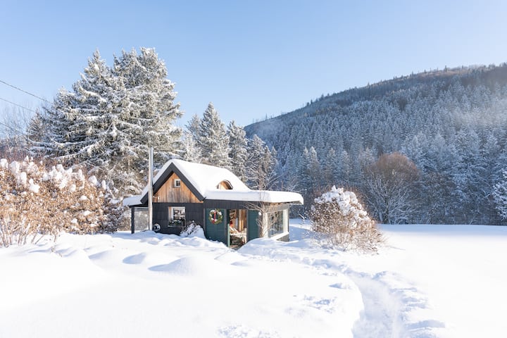 Prvosenka - Tschechien