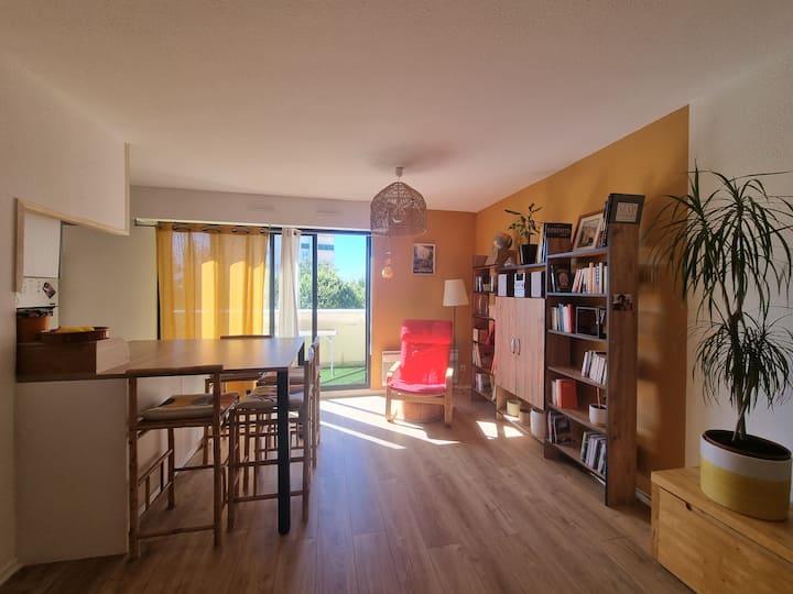 Appartement - Talence - Talence