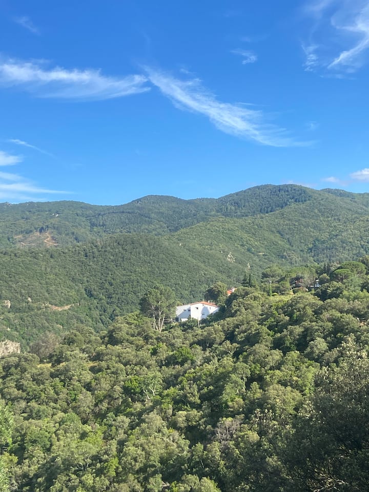 Appartement En Basse Montagne - Bord De Forêt - Céret